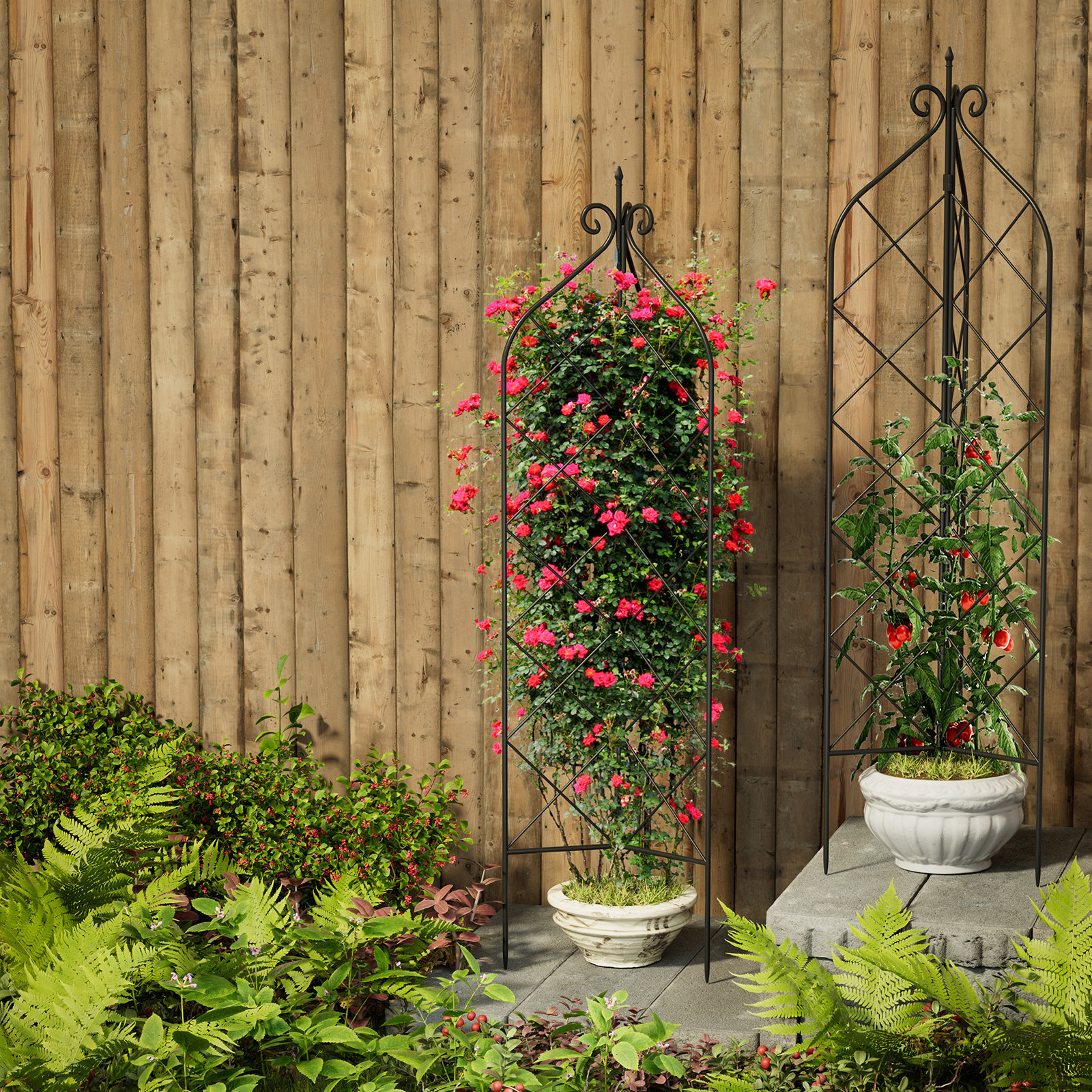 trellis for plants