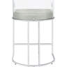 Hokku Designs 2 Grey Acrylic Back Dining Chairs - Elegant Design With ...