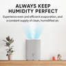 Evo Warm Mist Evaporative Tabletop Humidifier with Adjustable ...