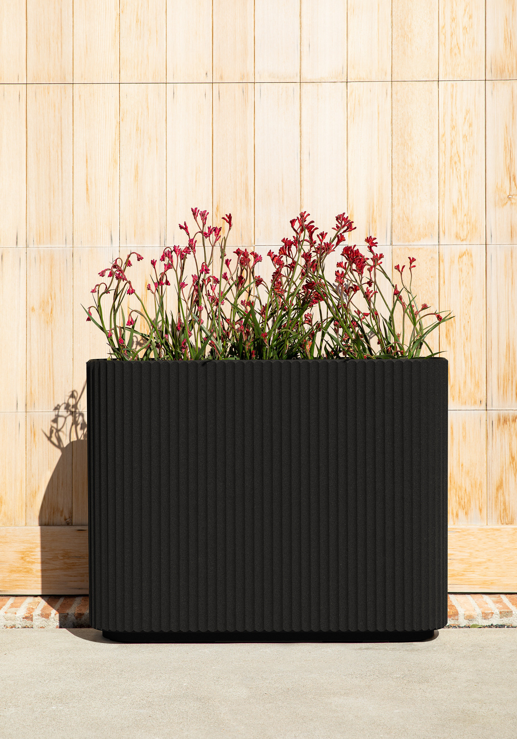Veradek Demi Series Span Planter & Reviews | Wayfair