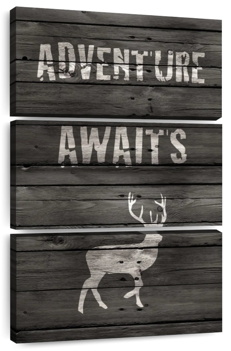 Ebern Designs Tergel Adventure | Wayfair