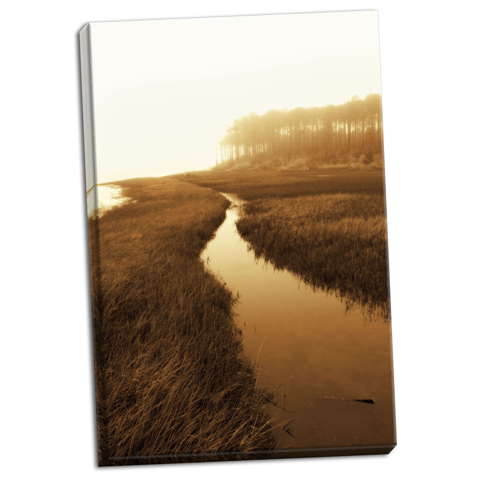 Union Rustic 'Harker's Island Marsh I' Photographic Print on Wrapped ...