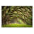 Loon Peak Tree Embrace Landscape Wall Mural - Wayfair Canada