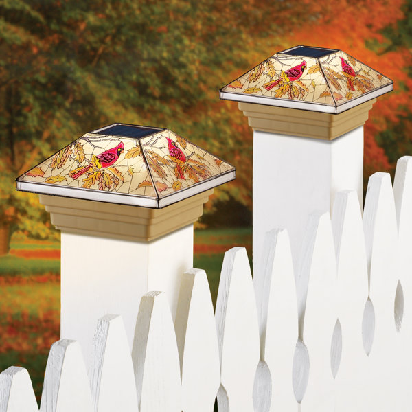 Winston Brands Brown | Wayfair