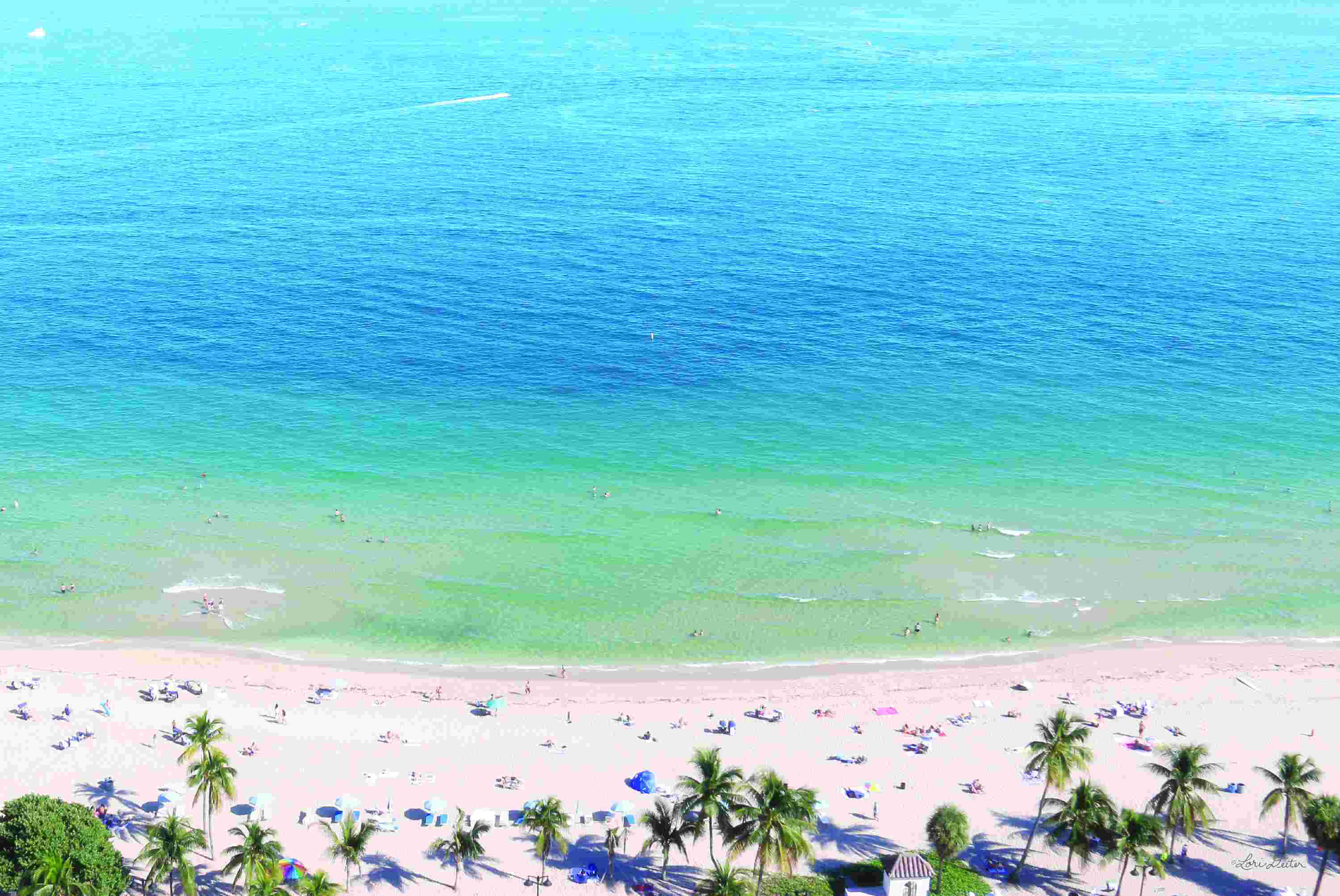 Rosecliff Heights Beach View From Above | Wayfair