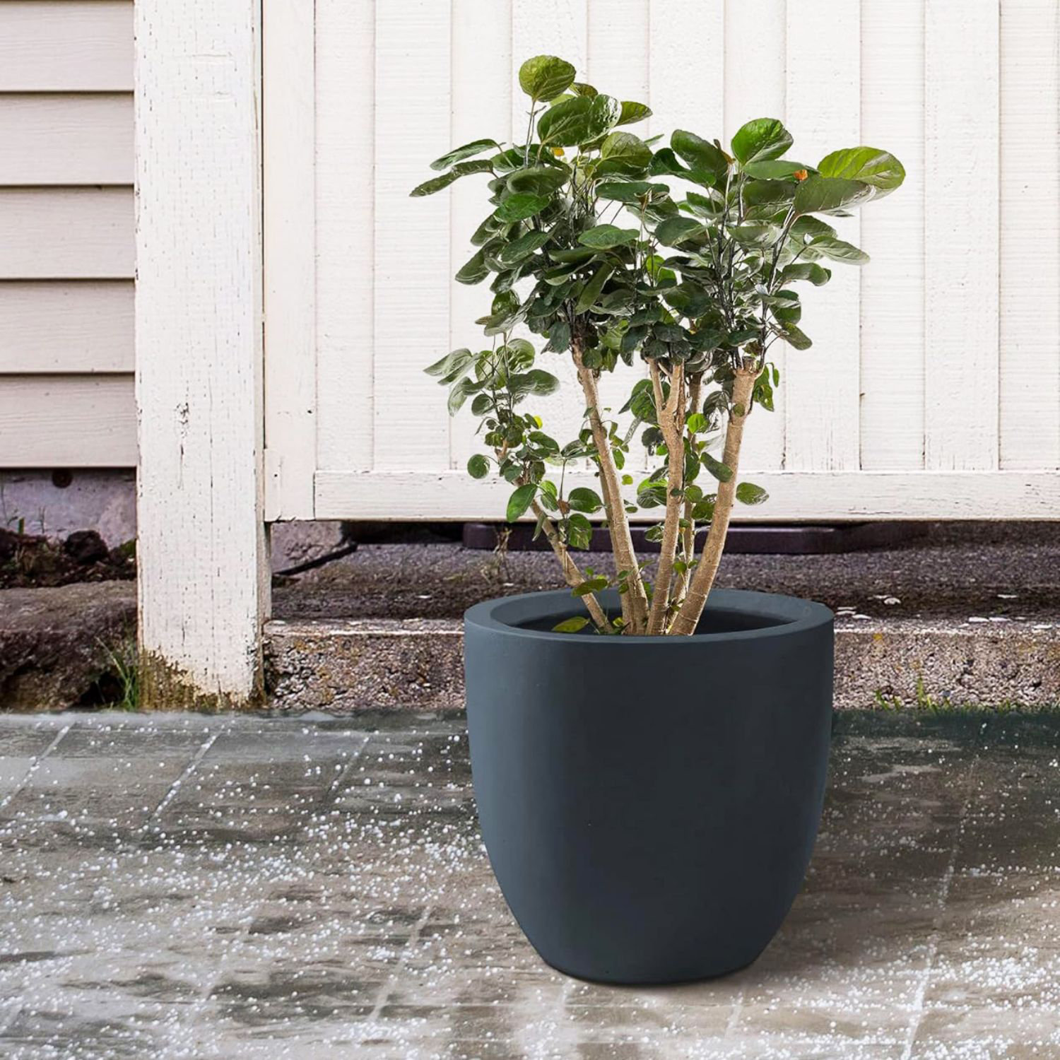 Ameriwood 10 Inch Dia Round Concrete Planter - Wayfair Canada