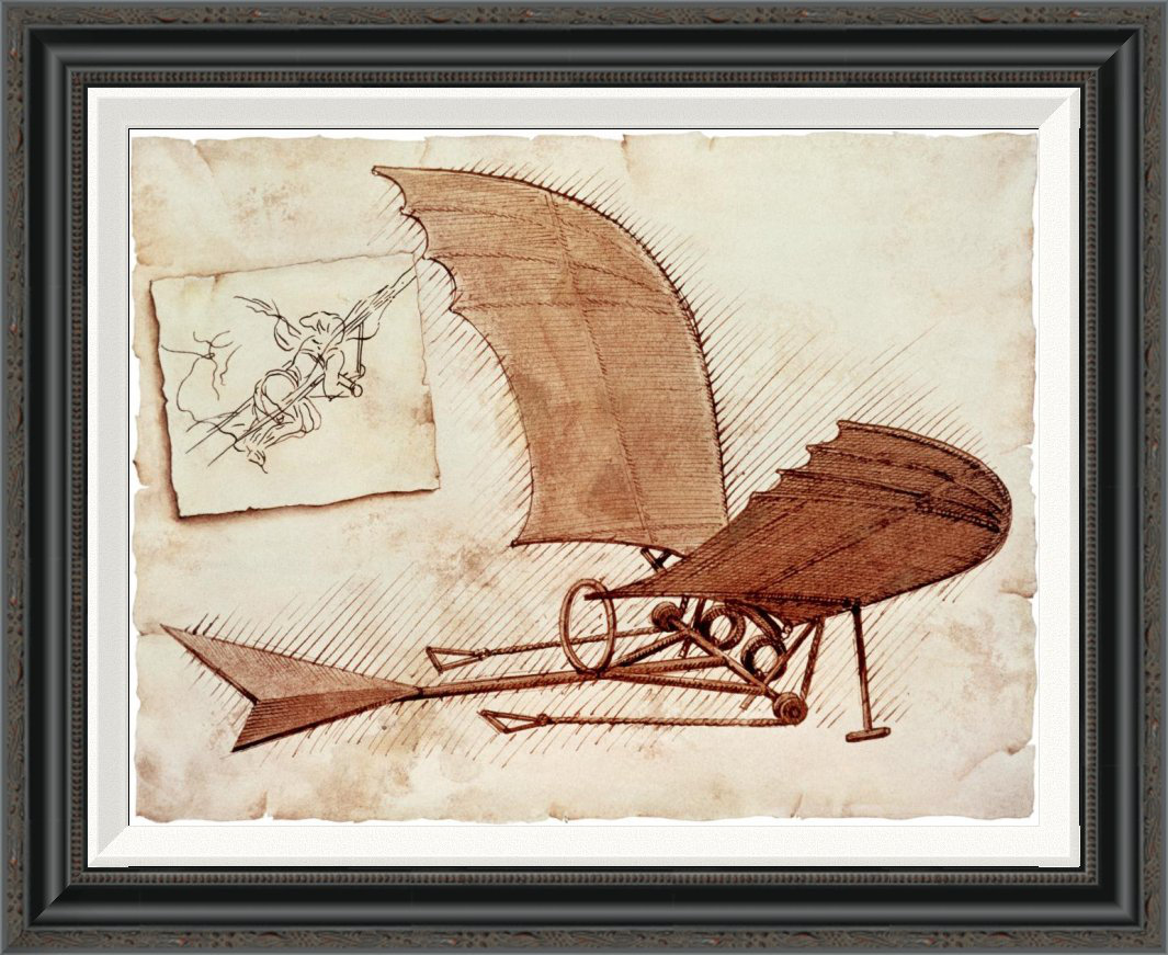 Vault W Artwork 'Flying Machine' by Leonardo Da Vinci Framed Painting ...