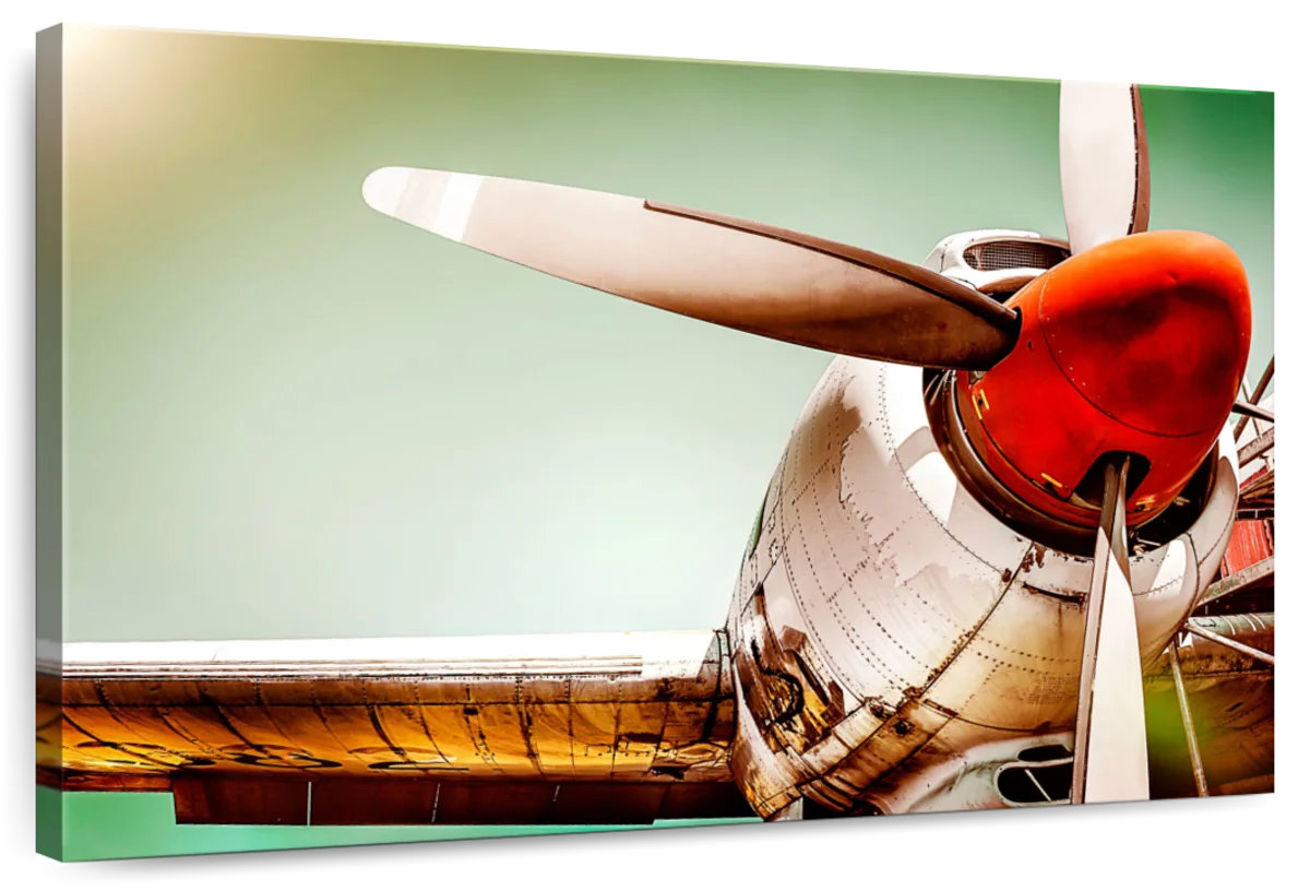 Elephant Stock Retro Propeller | Wayfair