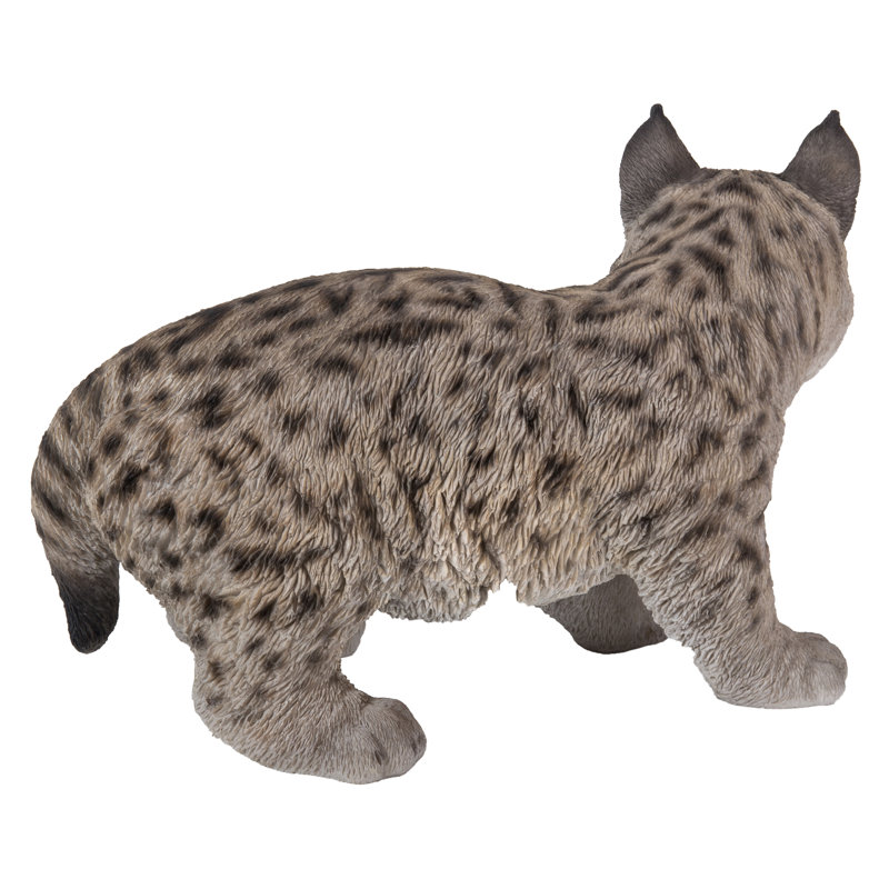 Hi-Line Gift Ltd. Lynx Kitten Statue & Reviews | Wayfair