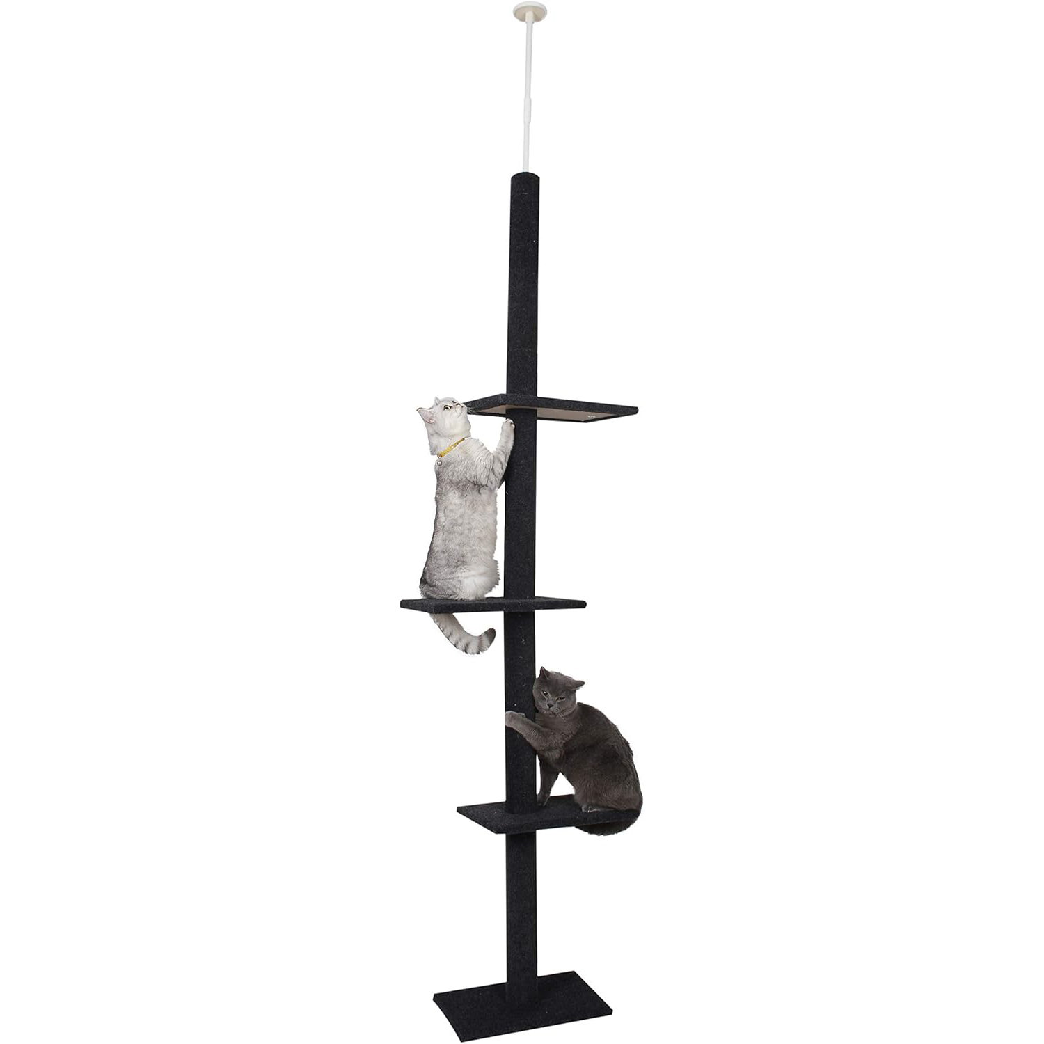 Archie & Oscar™ Wellesley 90'' H Cat Tree | Wayfair