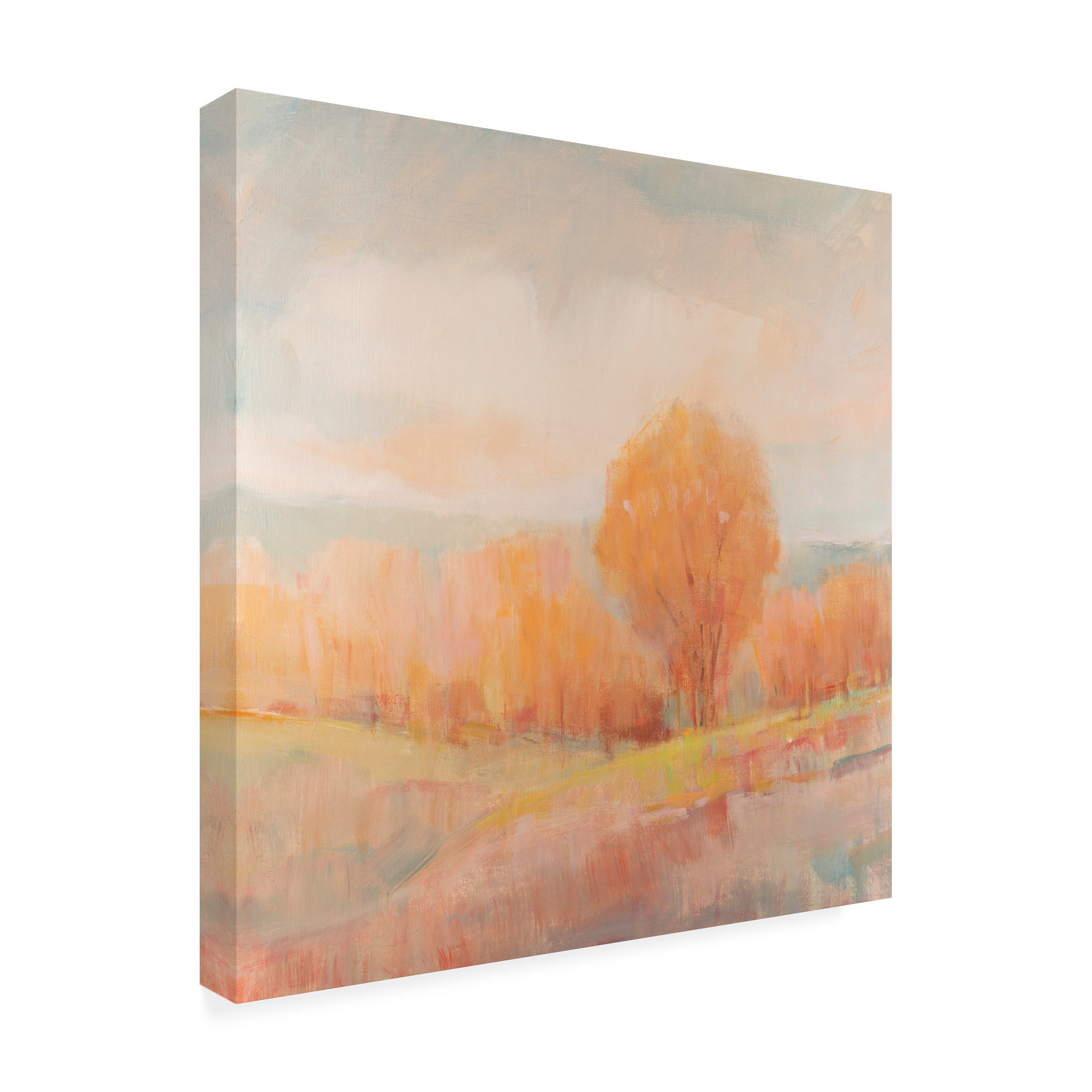 Winston Porter Early Frost II On Canvas by Tim O'Toole Canvas Art | Wayfair