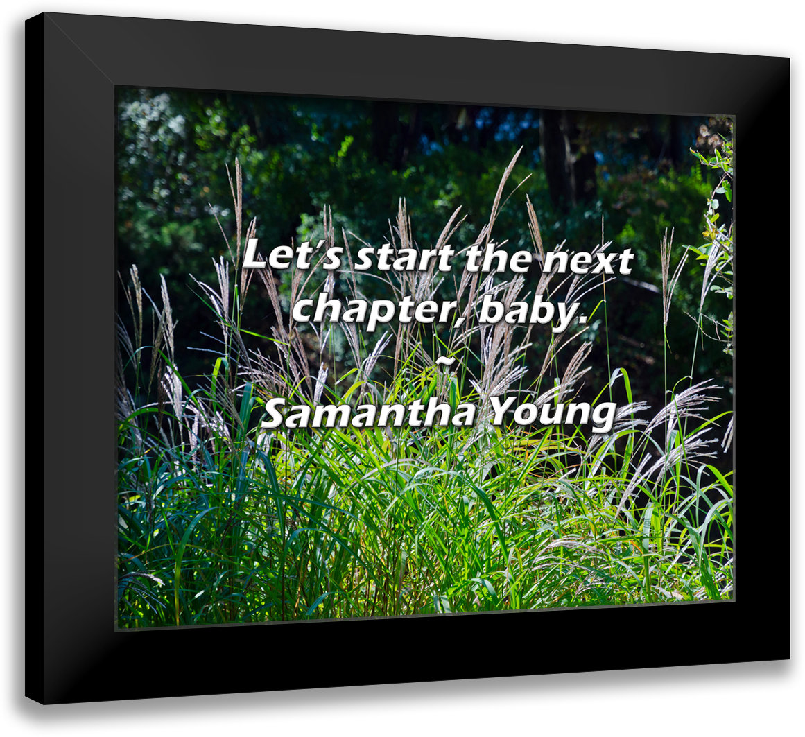 Trinx Samantha Young Quote: Let’s start the next chapter, baby. | Wayfair