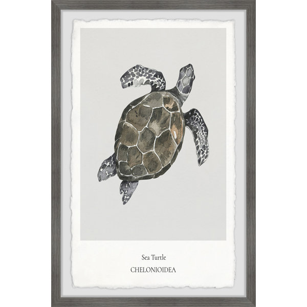 Highland Dunes Torquay Aetobatus Narinari B by Marmont Hill - Picture ...