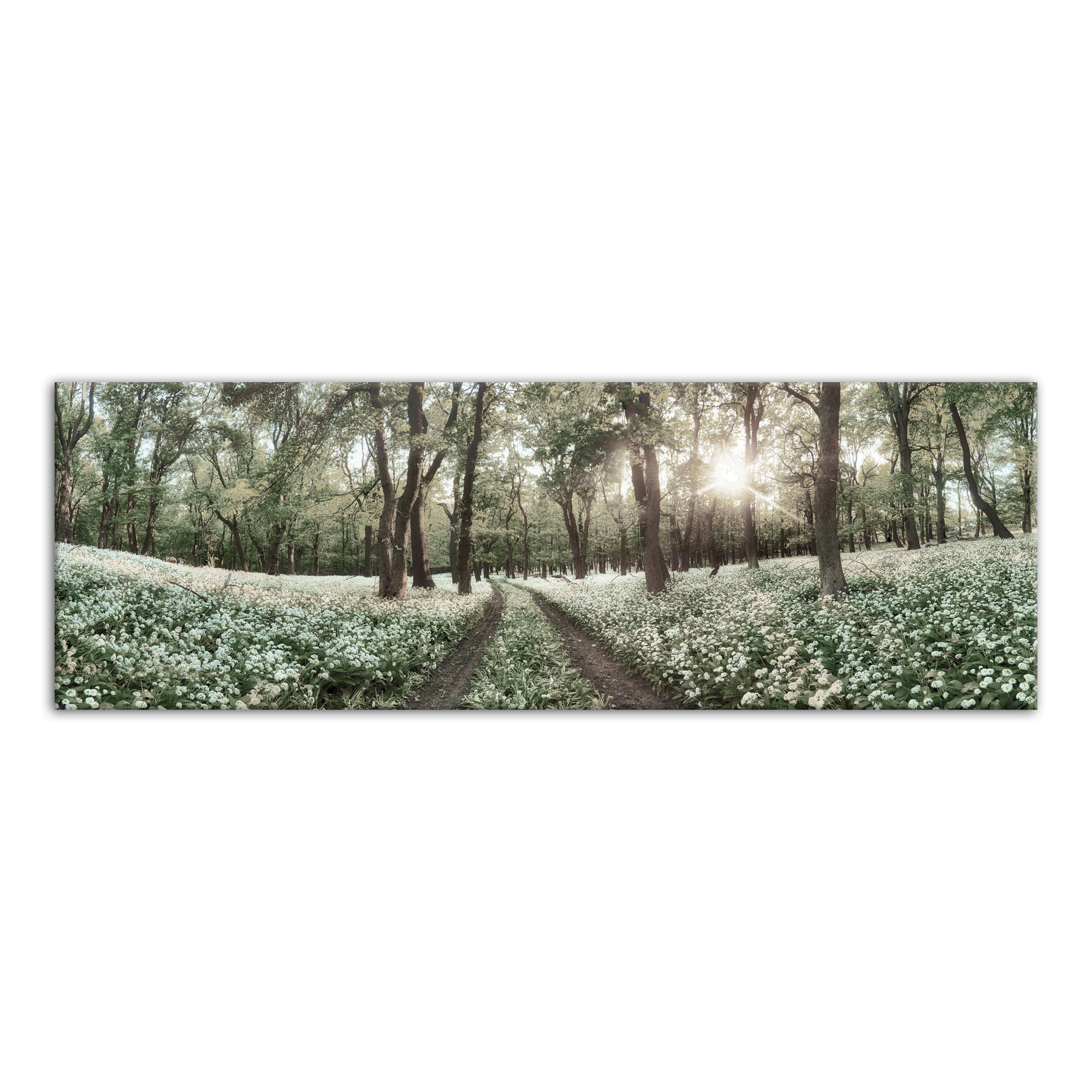 Millwood Pines Forest Horizon Path Canvas Print | Wayfair