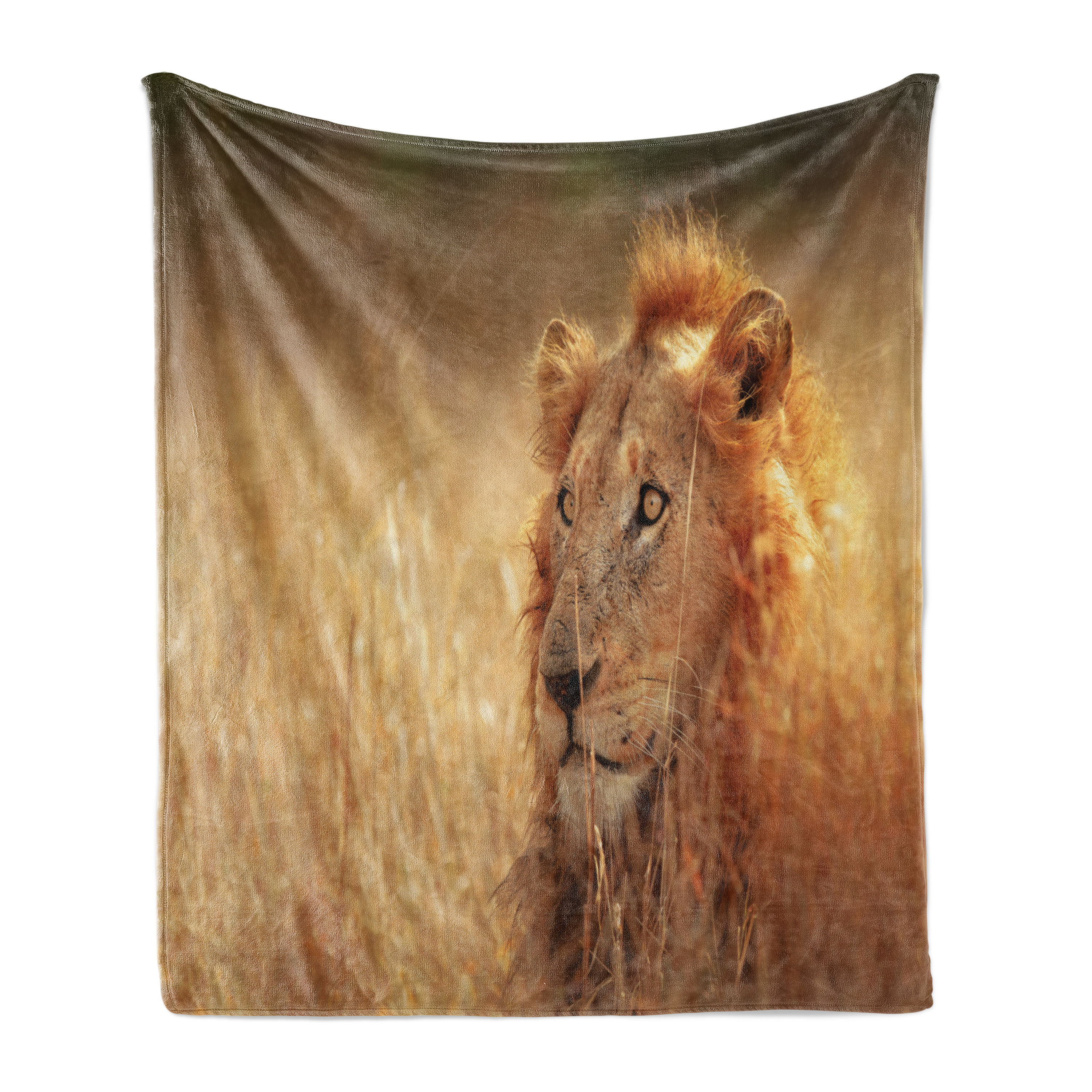 Ambesonne Wildlife Fleece Throw Blanket Male Lion Grass Field ...