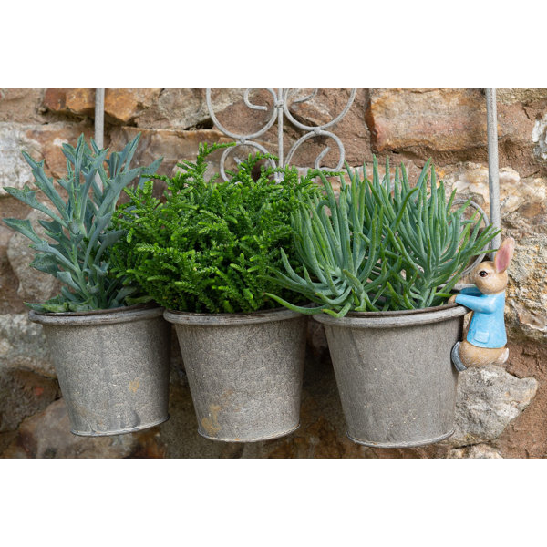 Jardinopia Beatrix Potter Peter Rabbit Climbing Pot Buddy Pot Hanger In ...