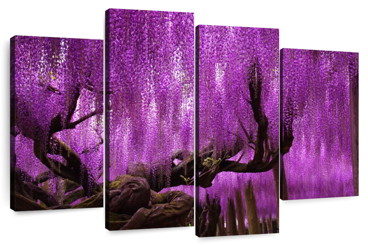 Lark Manor Harnek Wisteria Willow Tree - Wayfair Canada