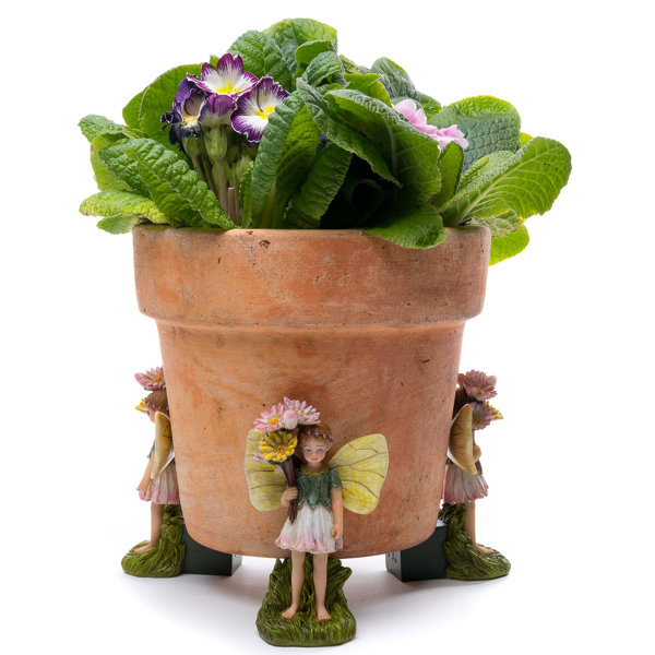 Jardinopia Flower Fairies Daisy Fairy Coloured Planter Feet In Gift Box ...