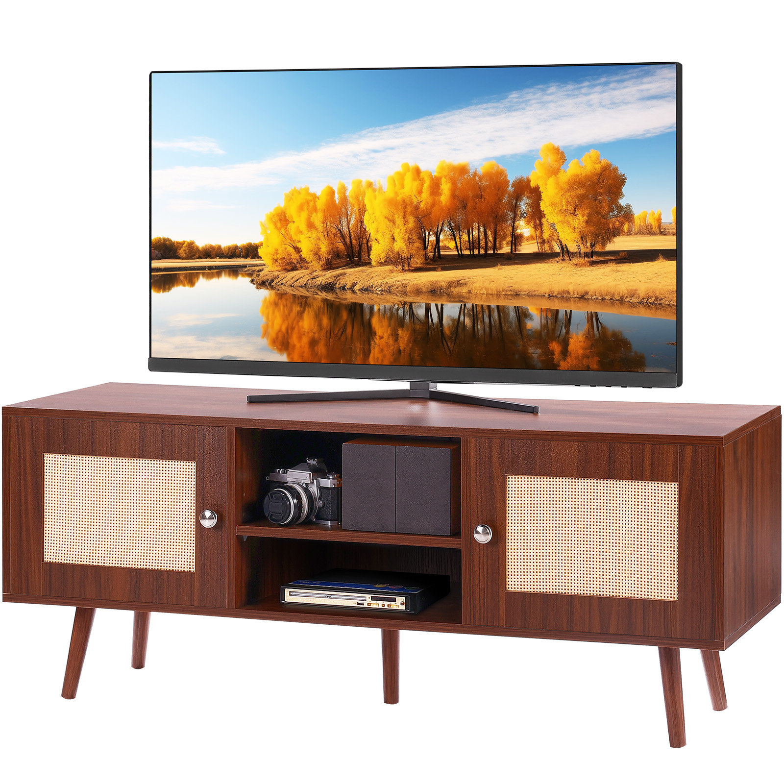 Dakota Fields Daileny Rattan TV Stand, Boho TV Cabinet for 55 inch TV ...