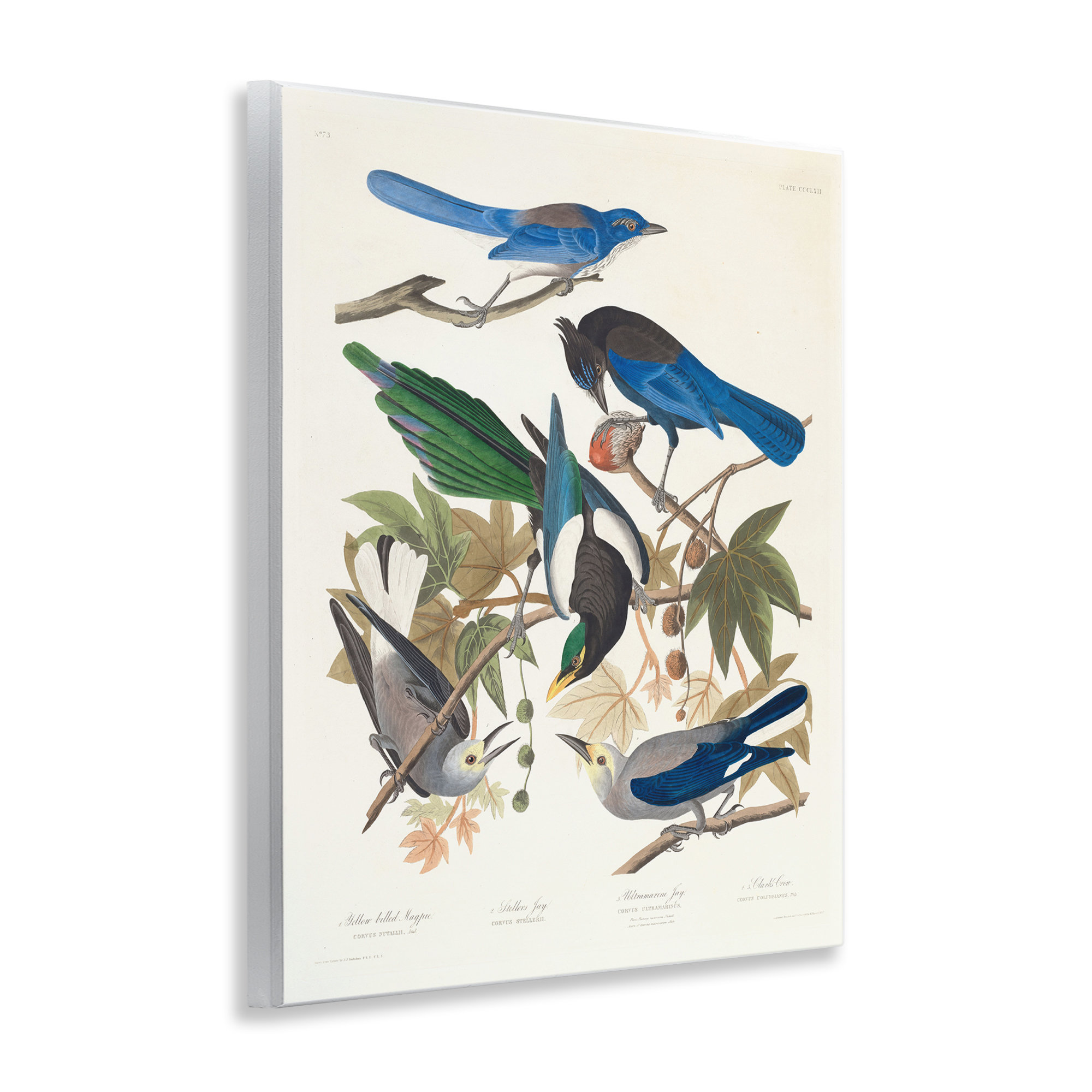 Union Rustic Classic Yellow Billed Magpie Wall Plaque Art by ...