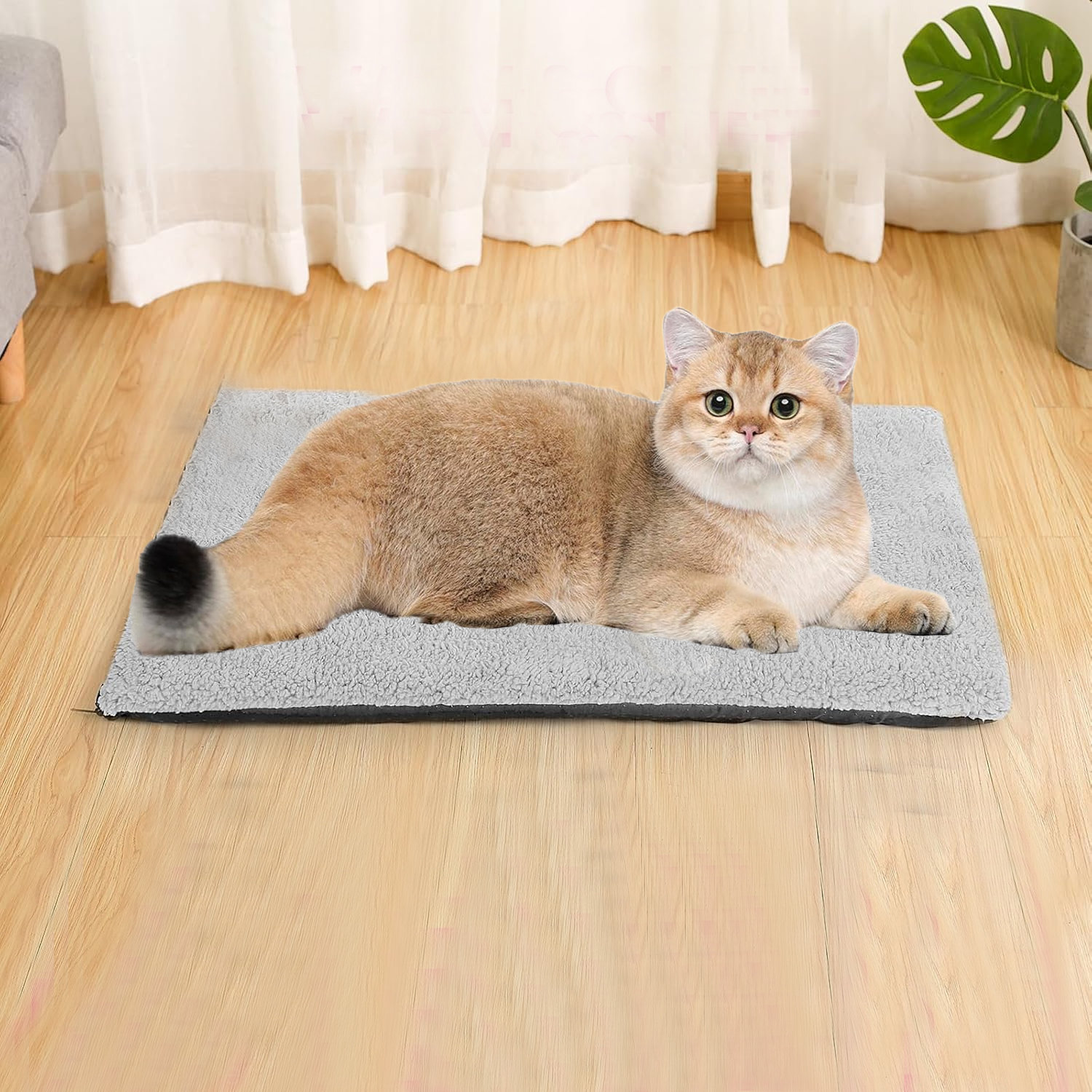 Tucker Murphy Pet™ Self Warming Cat Bed, Heated Cat Bed, Noiseless Cat ...