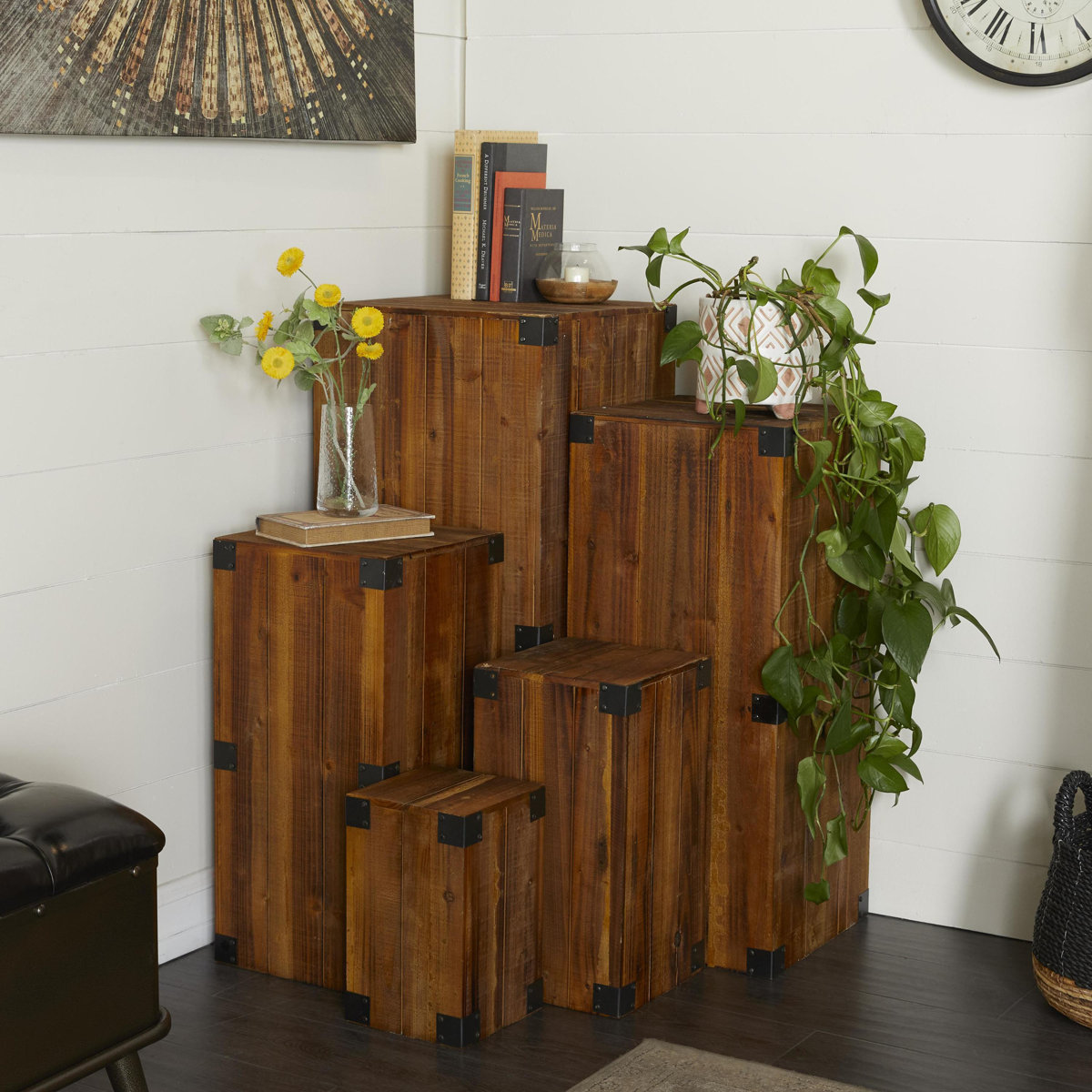Gracie Oaks Harland 5 Piece Pedestal Plant Stand Set & Reviews ...