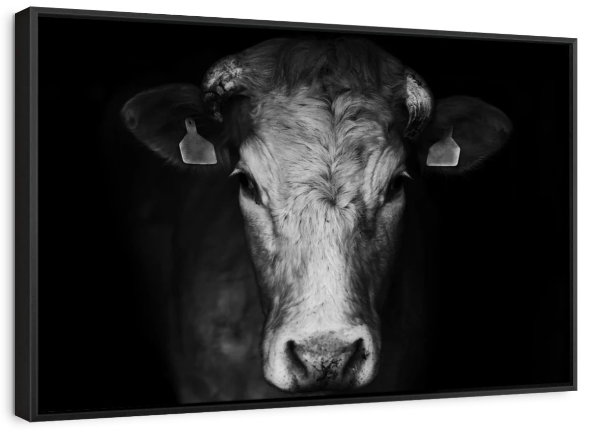 Latitude Run® Pondering Cow Canvas Print | Wayfair