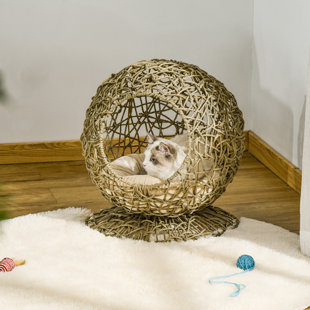 Elevated Cat Beds You'll Love | Wayfair