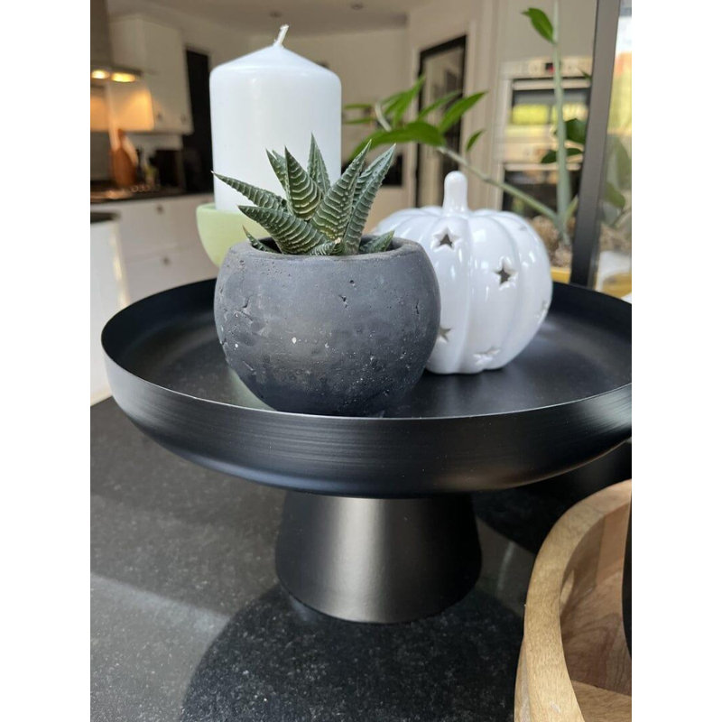 17 Stories Navani Decorative Object | Wayfair.co.uk
