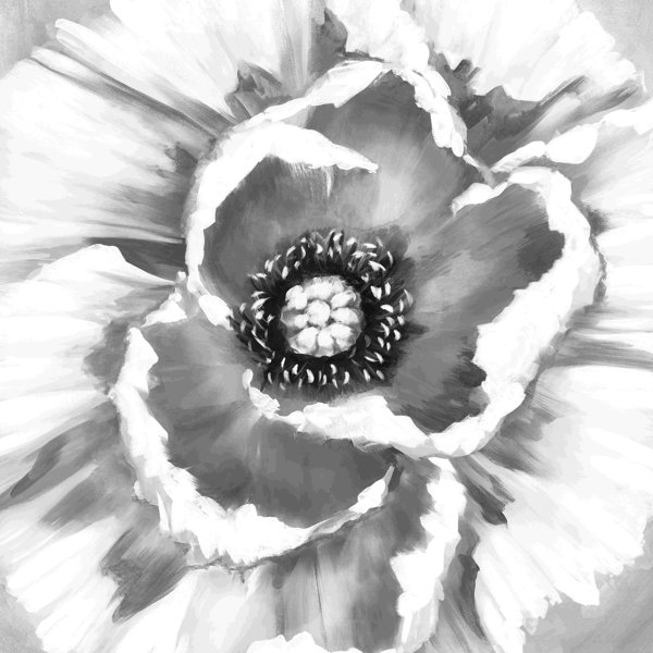 Winston Porter " Large White Poppy Square " - Wayfair Canada