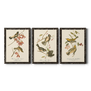 Red Barrel Studio® Wandering Rice Bird Picture Frame Painting Print Set ...