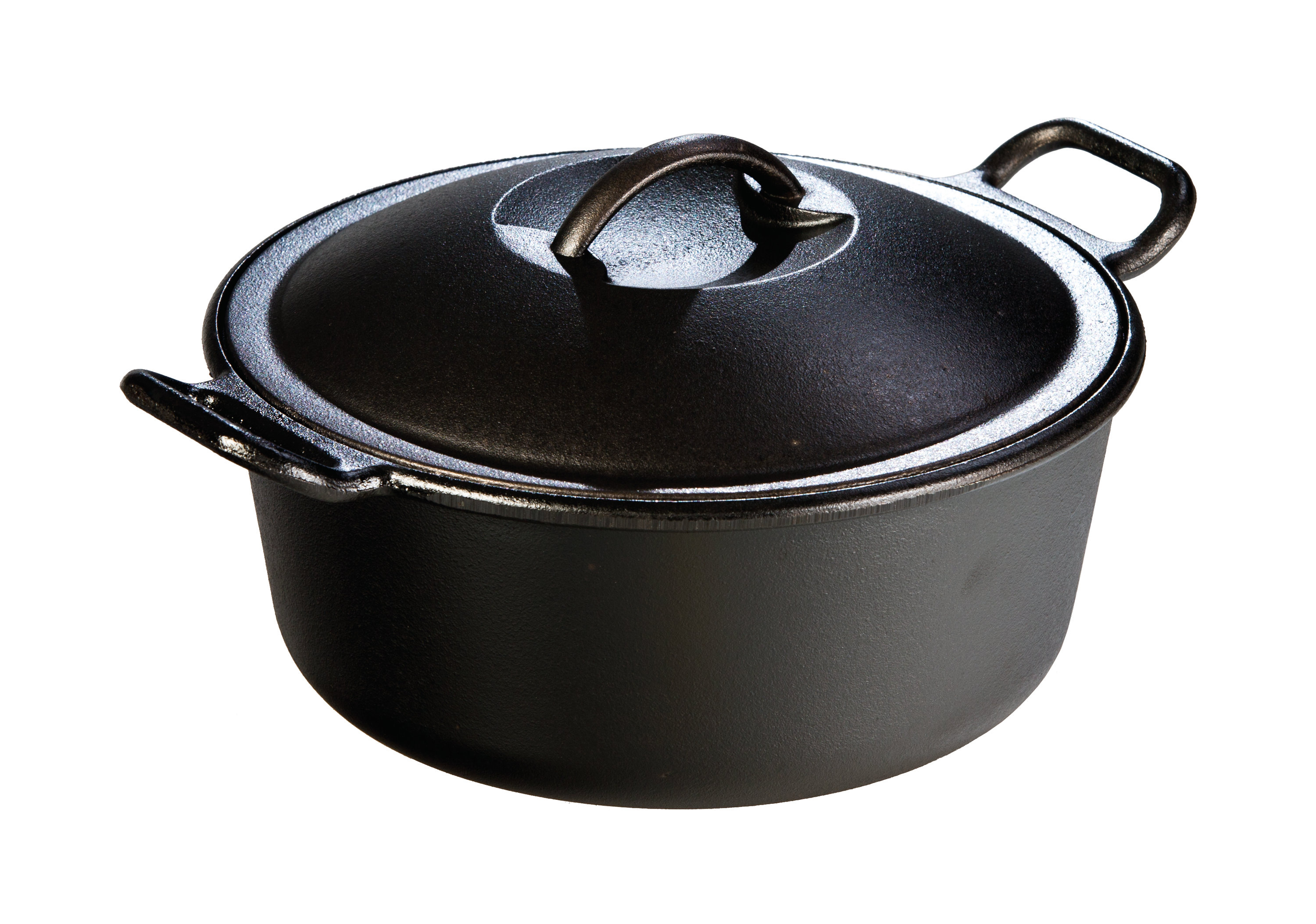Lodge Pro-Logic 4 Quart Dutch Oven & Reviews - Wayfair Canada