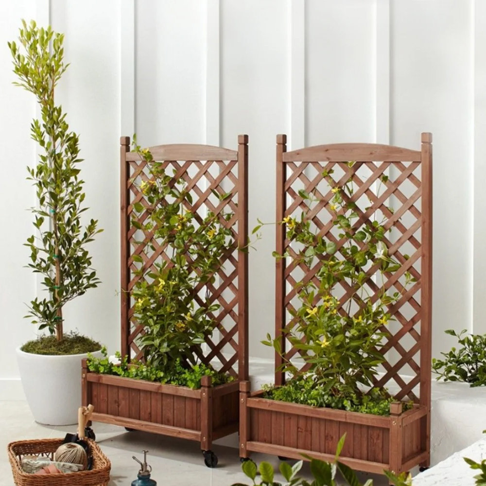 Red Barrel Studio® 2-Piece Outdoor Wood Raised Garden Bed Planter Boxes ...