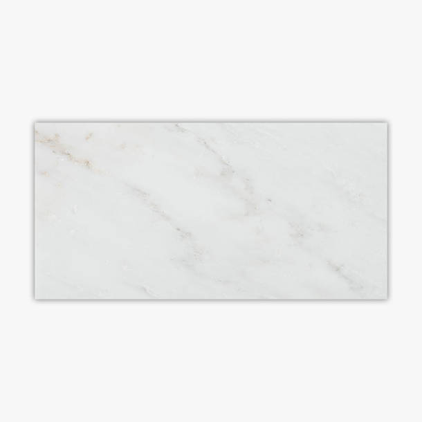 Direct Stone Source Asian Statuary d 12" x 24" Marble Wall & Floor Tile ...