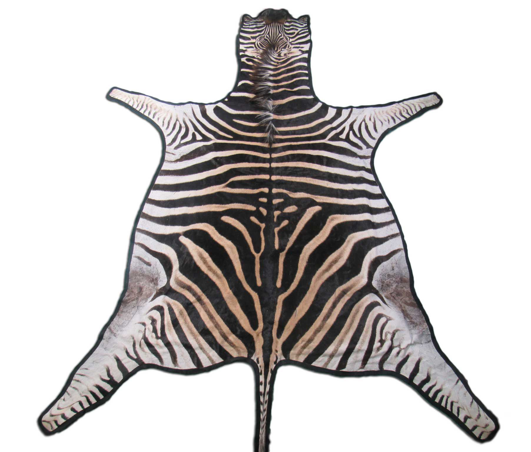 Foundry Select Shonteria Real Zebra Skin Rug - Felted | Wayfair