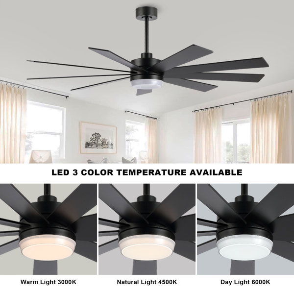 Wade Logan® Babrak 65'' Ceiling Fan with LED Lights & Reviews | Wayfair