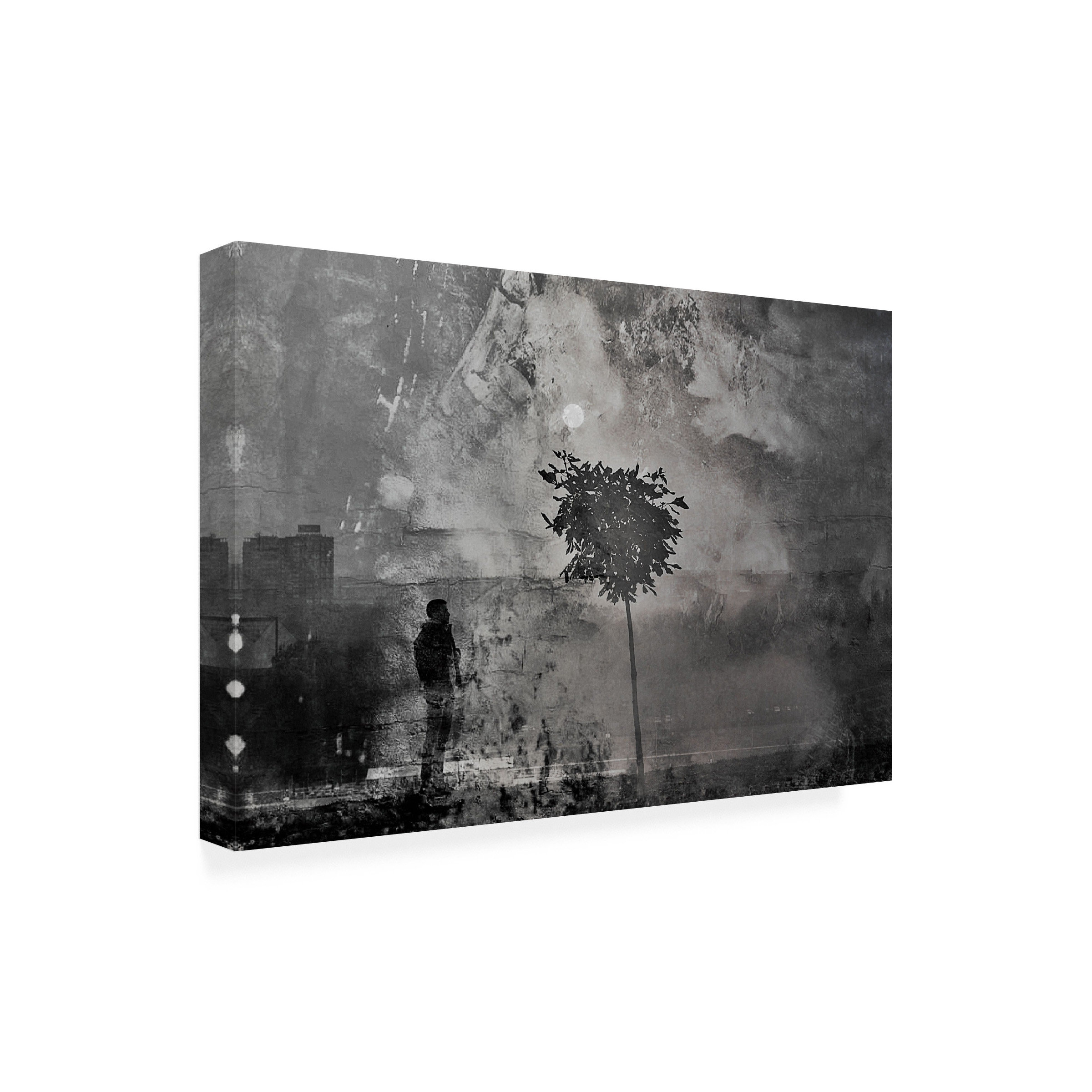Ebern Designs Bolog Dalibor Davidovic Shadows Splitting Canvas Art ...