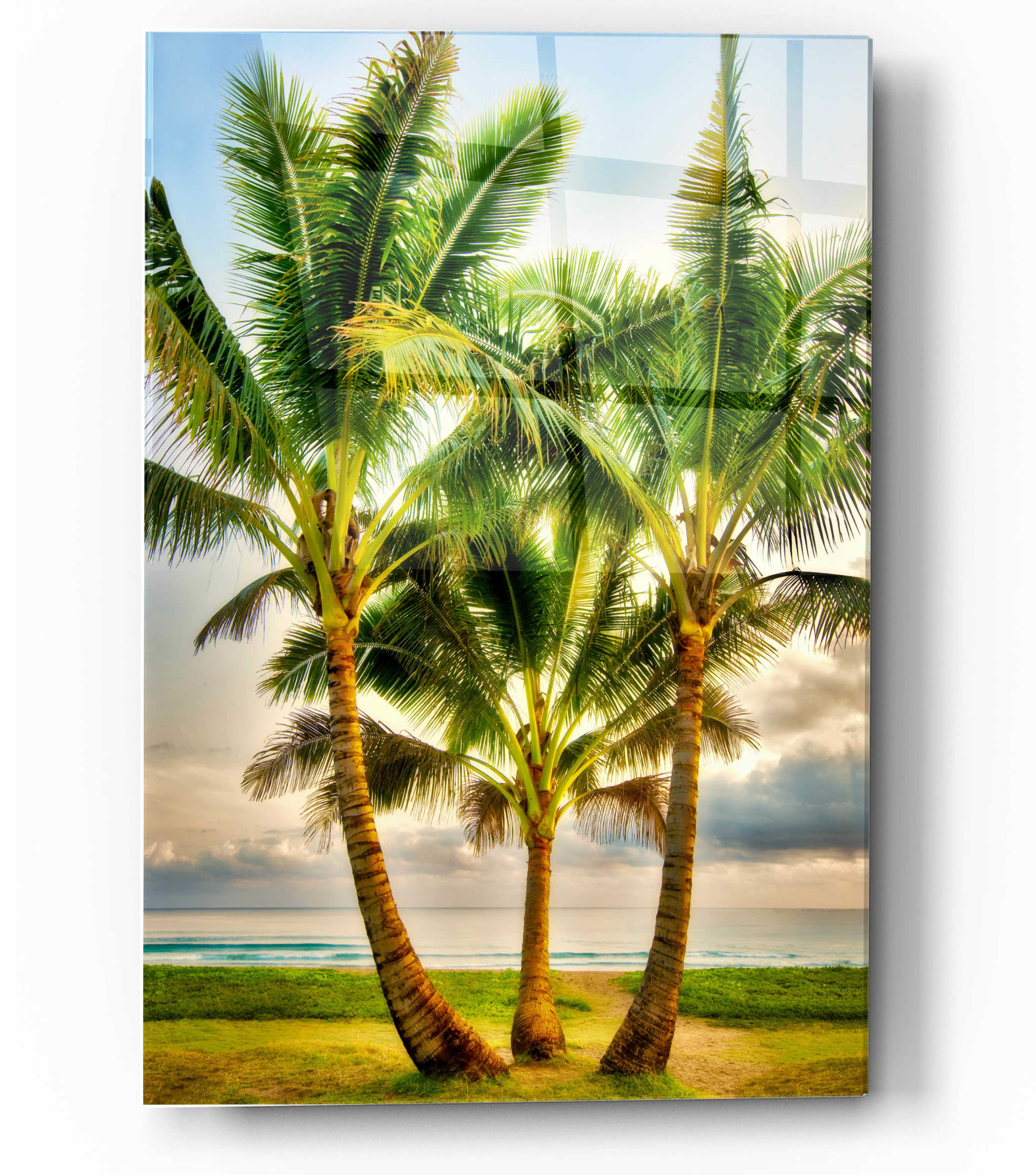 Bay Isle Home™ Triple Palm Triple Palm by Dennis Frates - Unframed ...