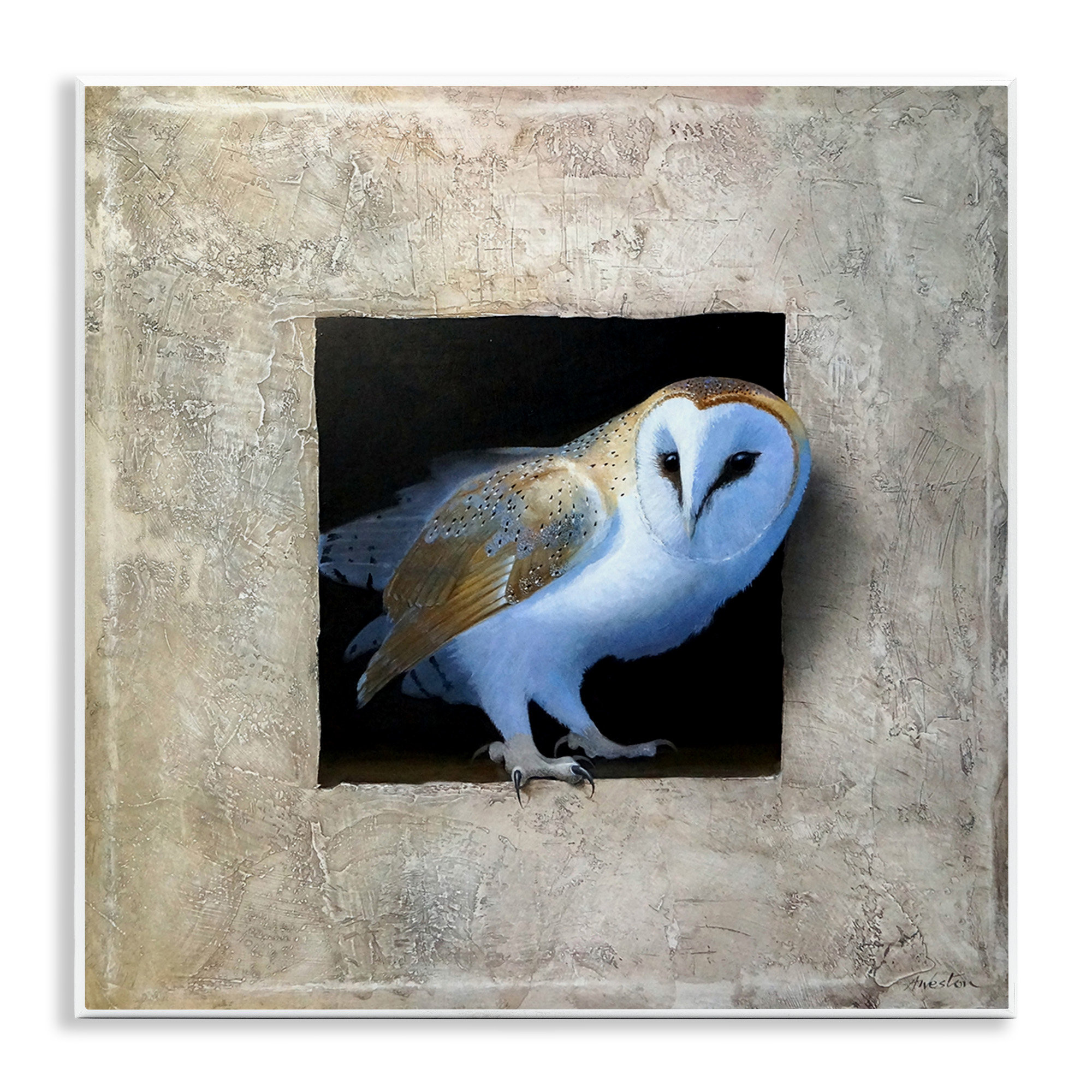 Stupell Industries Mysterious Barn Owl Peering From Darkness Painting ...