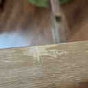 Wildon Home® Braschi 30'' Stool & Reviews | Wayfair