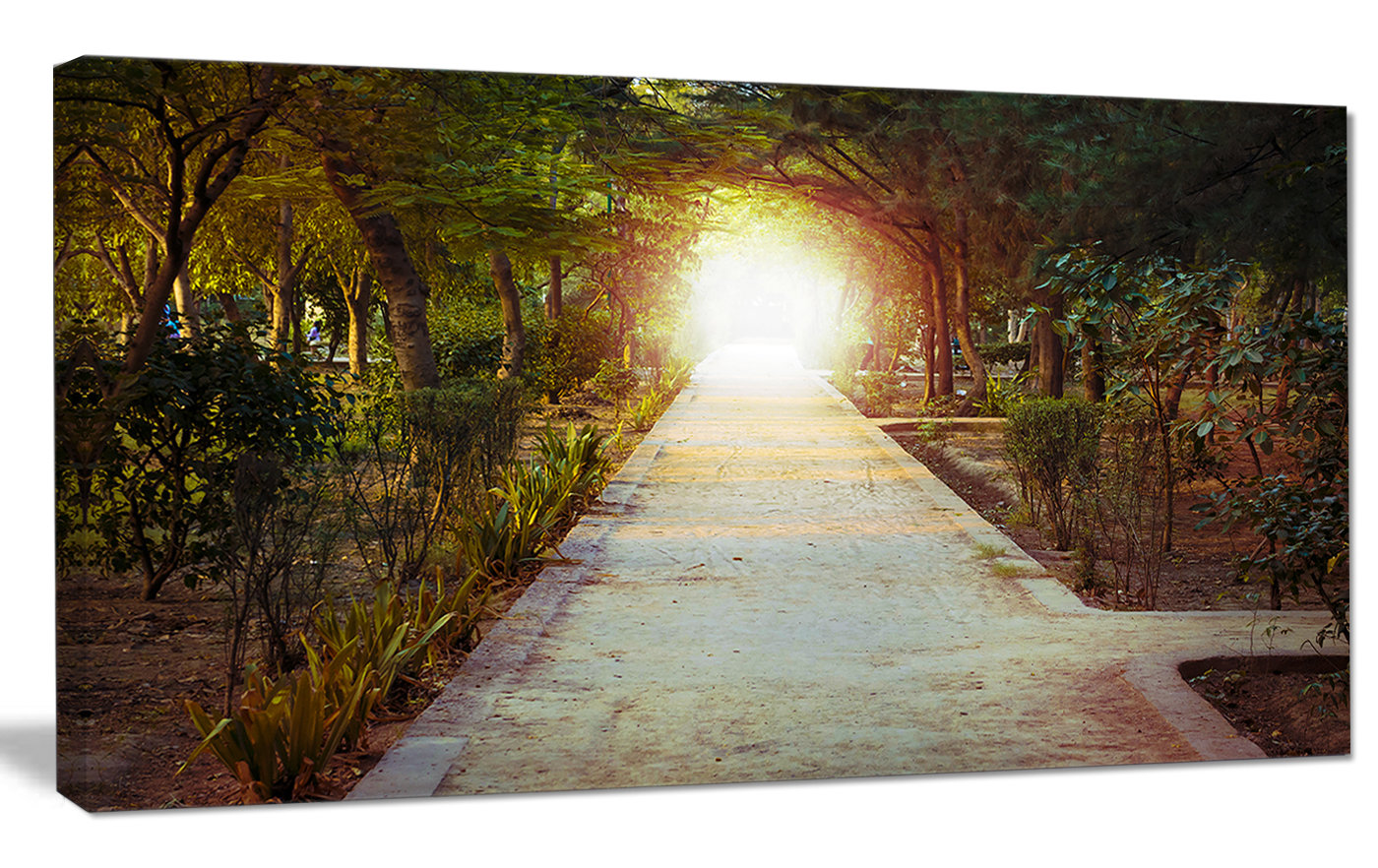Design Art Path to Magical Mystery Woods - Wrapped Canvas Photograph ...