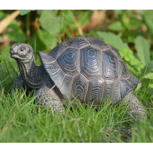 Plow & Hearth Tortoise Family Resin Garden Accents Statue & Reviews ...