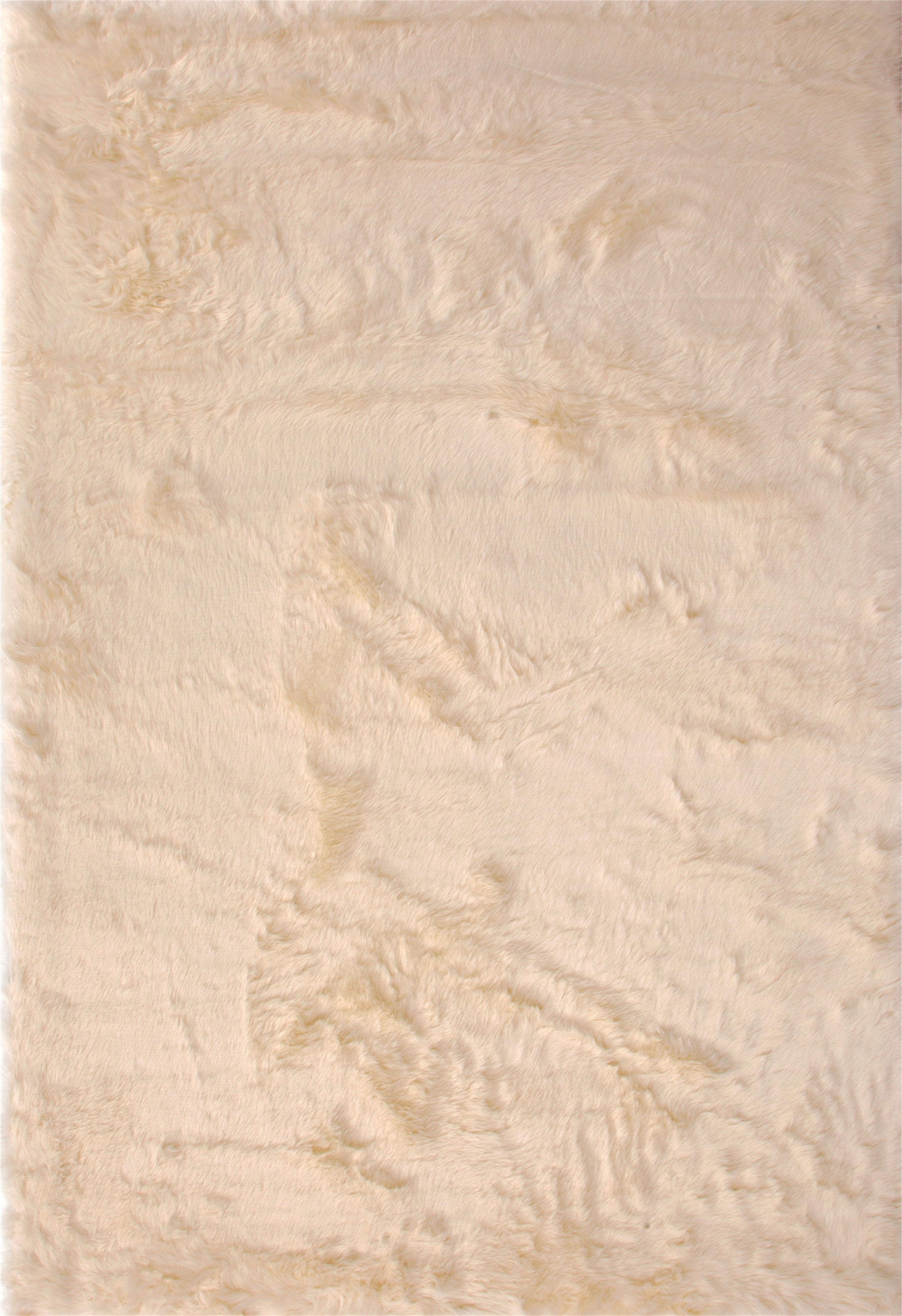 Everly Quinn Tieasha Solid Color Machine Woven Rectangle 5' x 8 ...