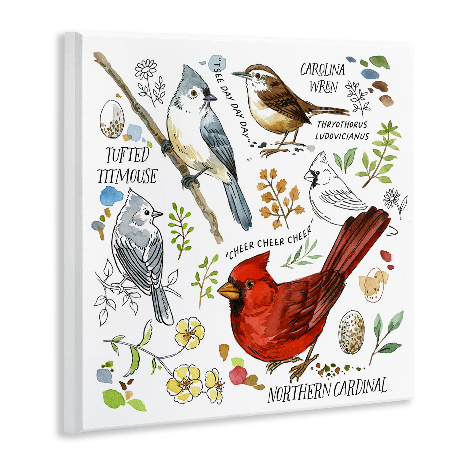 Ophelia & Co. Bird Watching Chart Wall Plaque Art by Jane Maday ...