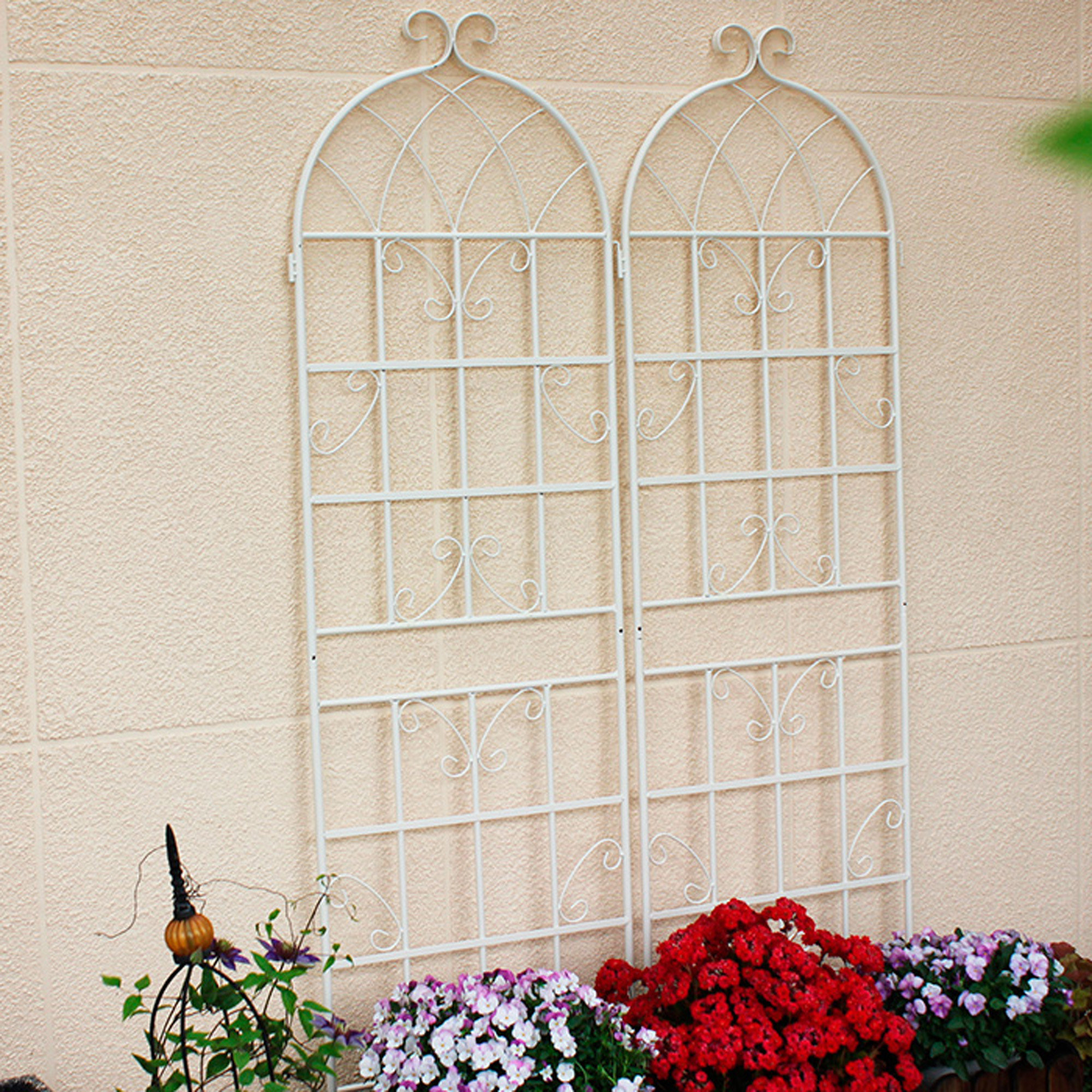 Astoria Grand 2 Pack Metal Garden Trellis Rustproof Trellis for ...