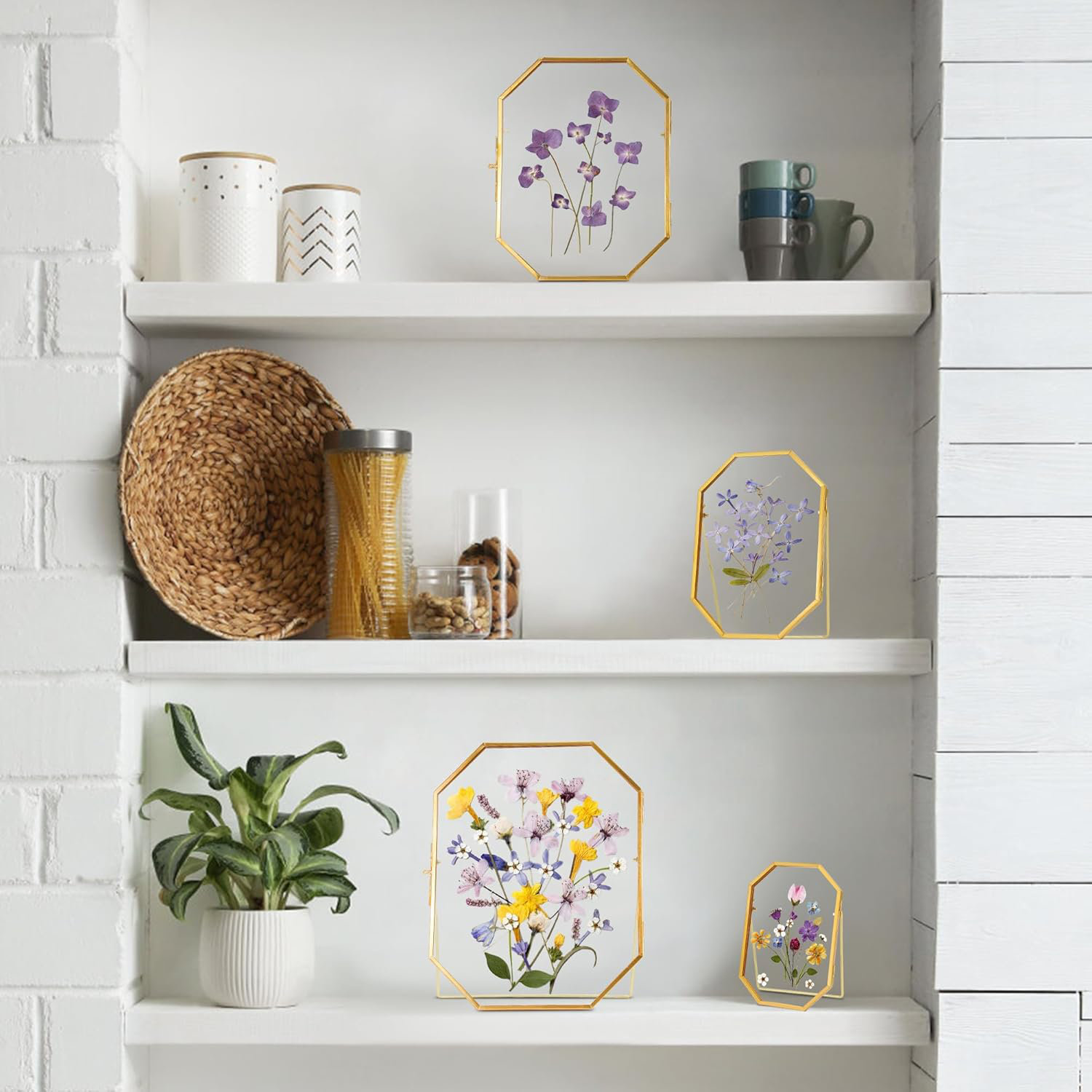 Corrigan Studio Glass Pressed Flower Frame Handmade, Metal Floating ...