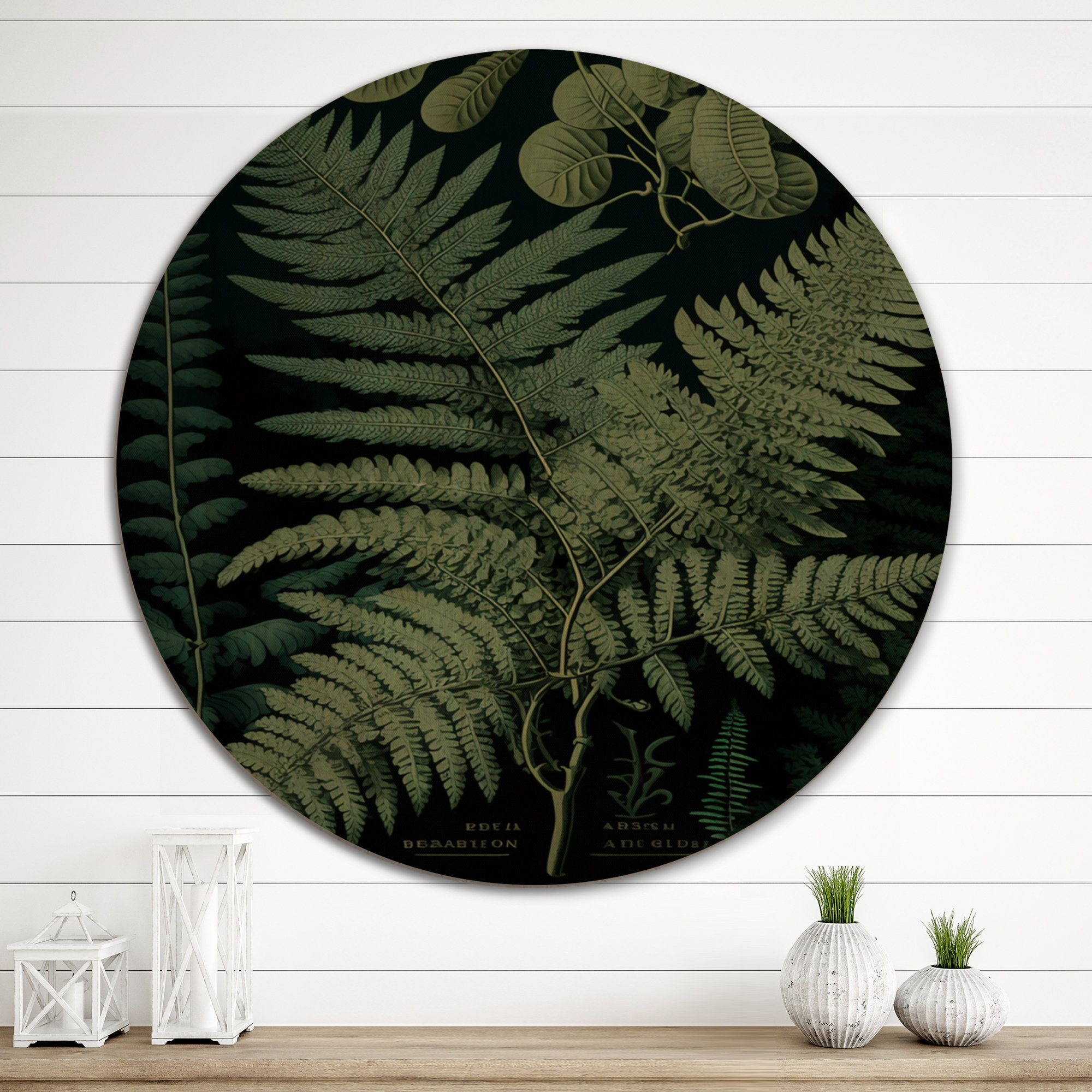 August Grove® Fern on Retro Victorian Chart IV - Floral Ferns Wood Wall ...