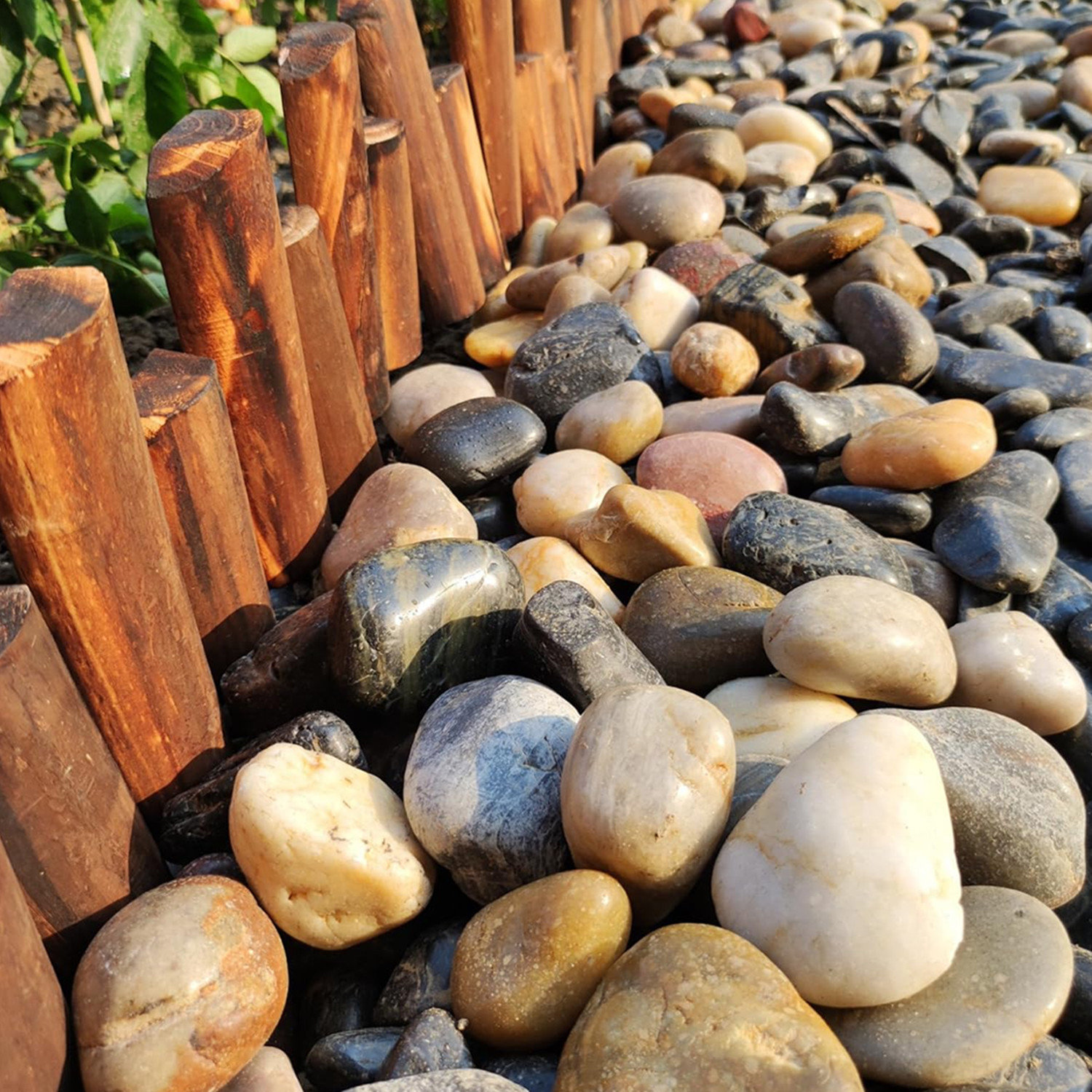 Arlmont & Co. 3 Lb Multicolor River Rocks For Succulents, 1 Inch ...