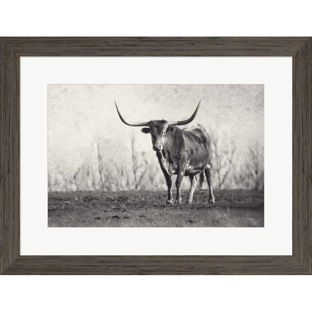 Foundry Select A Texas Longhorn by Debra Van Swearingen - Picture Frame ...