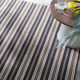 Riter Ticking Stripe Navy/Ivory Handwoven Indoor/Outdoor Rug | Birch Lane